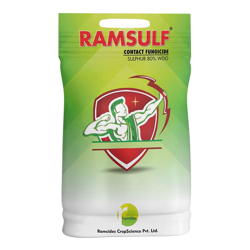 Sri Aurobindo Packagers Private Limited